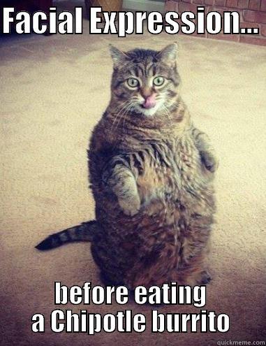 Chipotle Cat - quickmeme