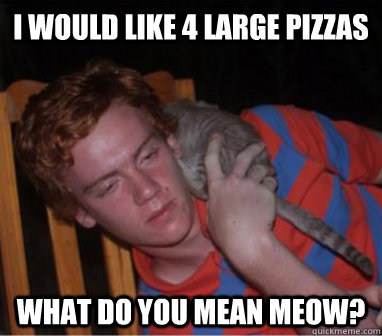i would like 4 large pizzas What do you mean meow? - Misc - quickmeme