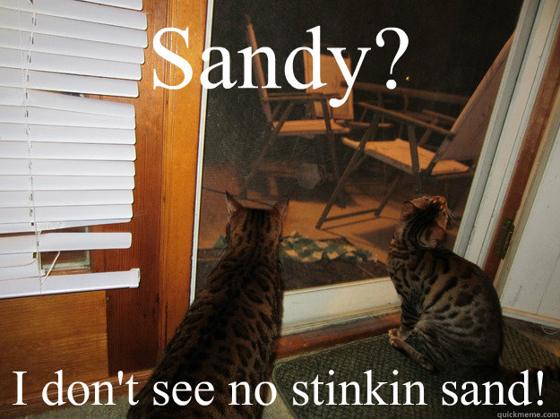 Sandy? I don't see no stinkin sand! - Misc - quickmeme