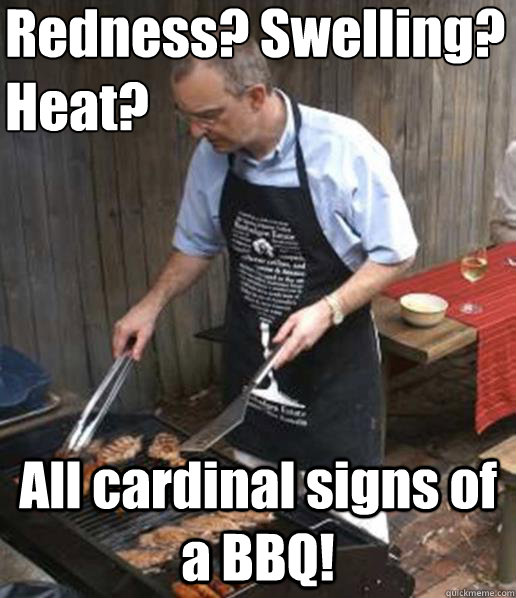 Redness? Swelling? Heat? All cardinal signs of a BBQ! - Stormin Norman - quickmeme