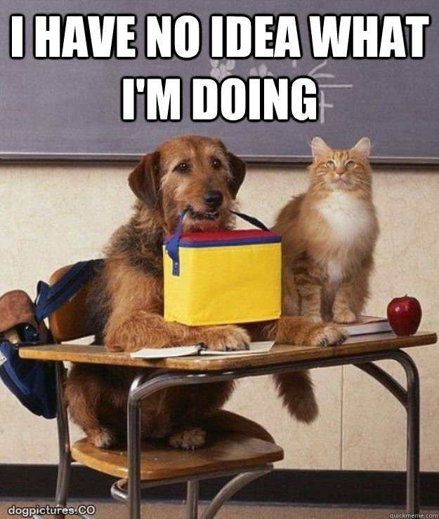 I have no idea what i'm doing - gughjk - quickmeme