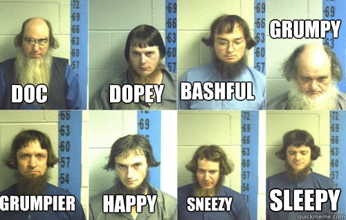 Doc grumpy bashful sleepy sneezy happy Dopey grumpier - The 8 dwarves - quickmeme