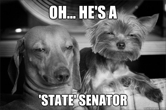 Oh... He's a 'state' senator - Misc - quickmeme