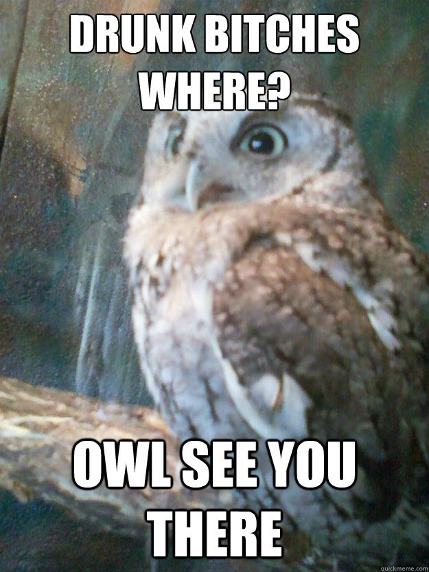 Pun Party Owl memes | quickmeme