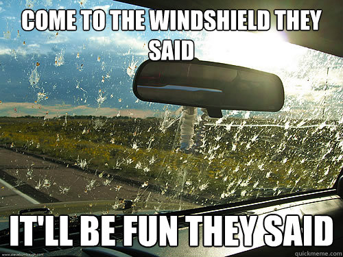 Come to the windshield they said It'll be fun they said - Misc - quickmeme