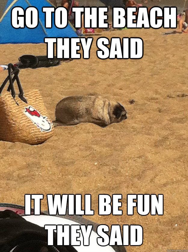 Go to the beach they said It will be fun they said - Sad Frank - quickmeme