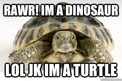 RAWR! im a dinosaur LOL jk im a turtle - Misc - quickmeme
