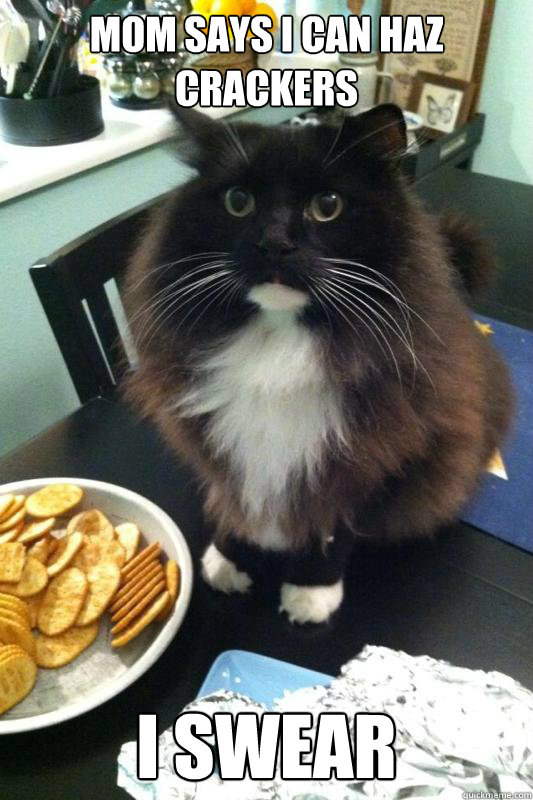 Mom says i can haz crackers I swear - pook crackers - quickmeme