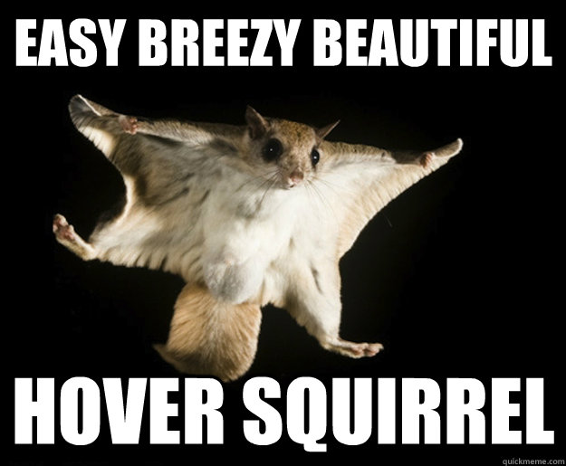 Easy Breezy Beautiful Hover Squirrel - Misc - quickmeme