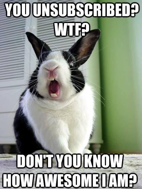 Dissatisfied Bunny memes | quickmeme