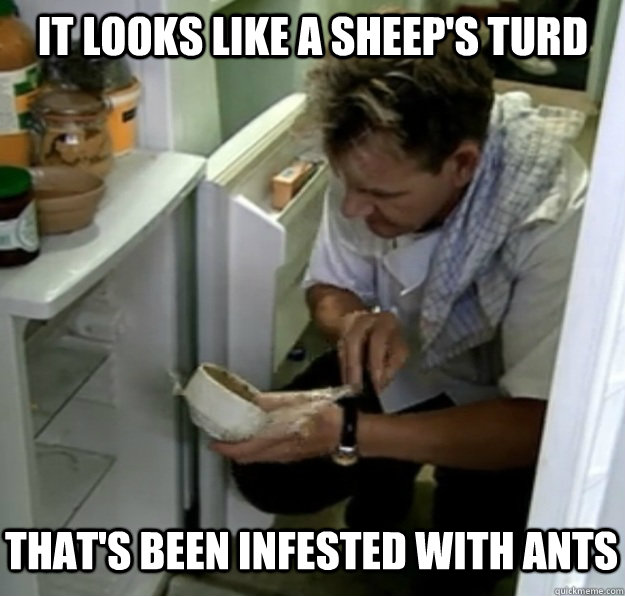 it looks like a sheep's turd that's been infested with ants - Misc - quickmeme