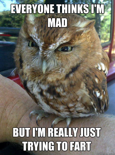 Everyone thinks I'm mad But I'm really just trying to fart - Misc - quickmeme