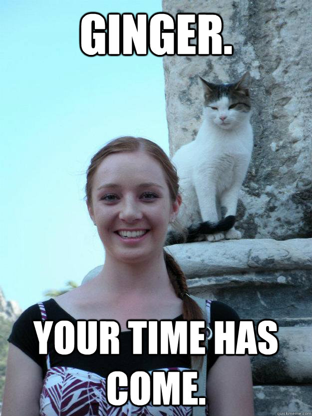 Ginger. Your Time has come. - Camouflage Cat - quickmeme