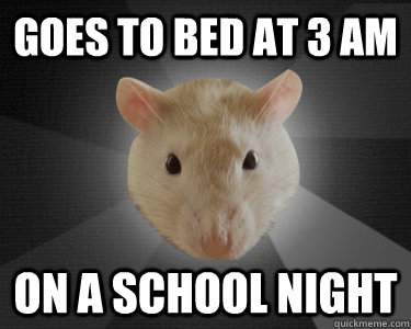 GOES TO BED AT 3 AM ON A SCHOOL NIGHT - Insanity Mouse - quickmeme