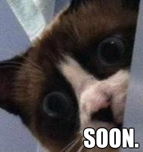 Soon. - Misc - quickmeme