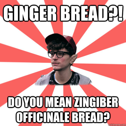 Ginger bread?! Do you mean Zingiber officinale bread? - Hipster Elf - quickmeme
