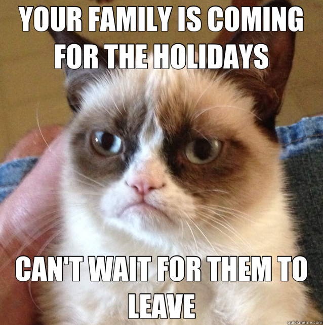 YOUR FAMILY IS COMING FOR THE HOLIDAYS CAN'T WAIT FOR THEM TO LEAVE - Family for the Holidays ...