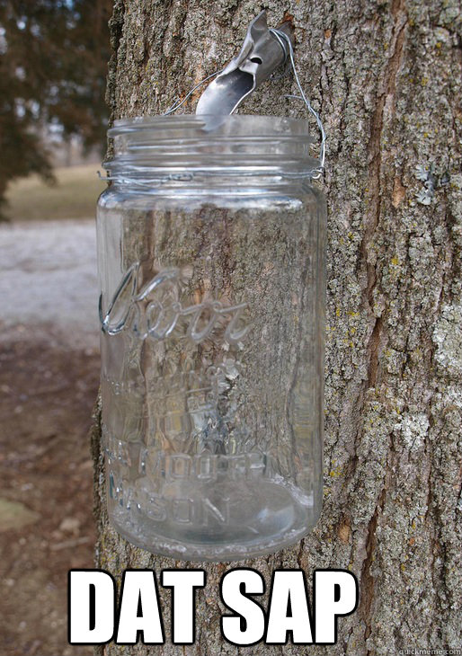 DAT SAP - Misc - quickmeme