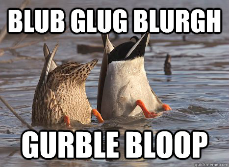 blub glug blurgh gurble bloop - Diving Advice Mallards - quickmeme