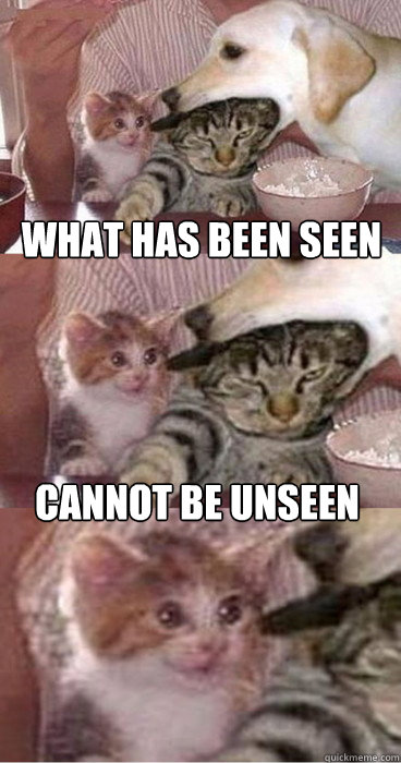 what has been seen cannot be unseen - Misc - quickmeme