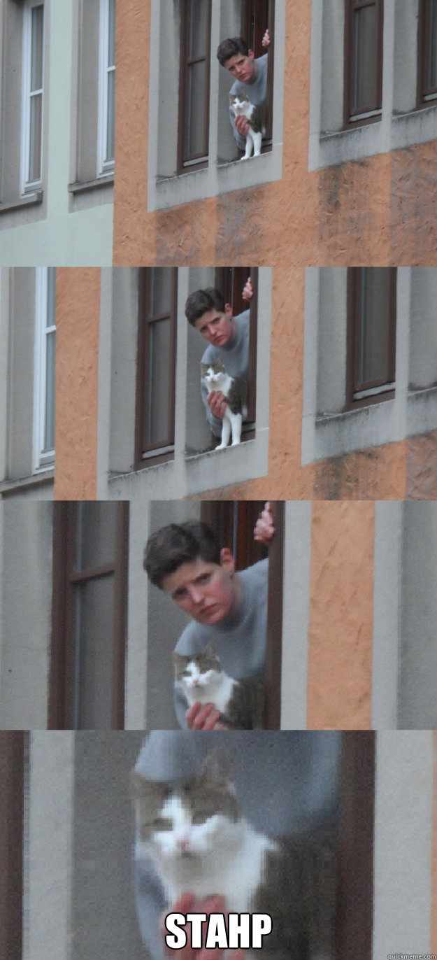 stahp - cat stahp - quickmeme