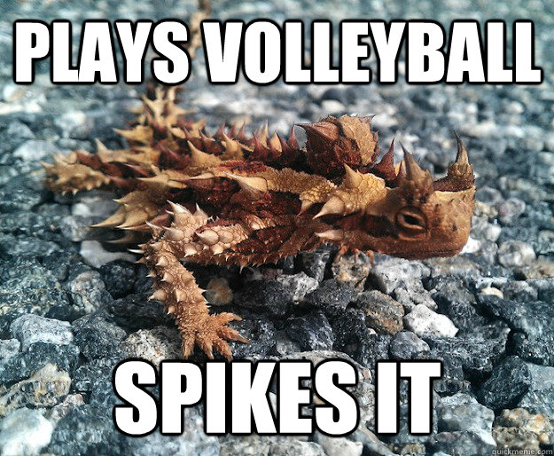 Scumbag Thorny Devil memes | quickmeme
