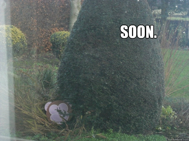 SOON. - Misc - quickmeme