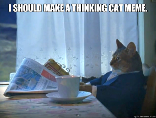 I Should Make A Thinking Cat Meme The One Percent Cat Quickmeme