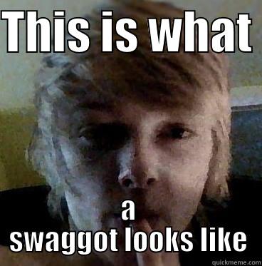 SWAGGOT Stephan Pederson - quickmeme