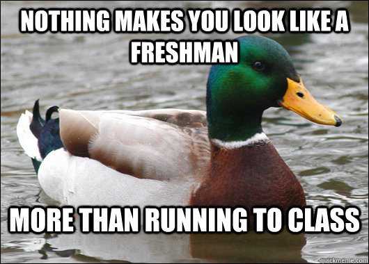 Nothing makes you look like a freshman more than running to class - Actual Advice Mallard ...