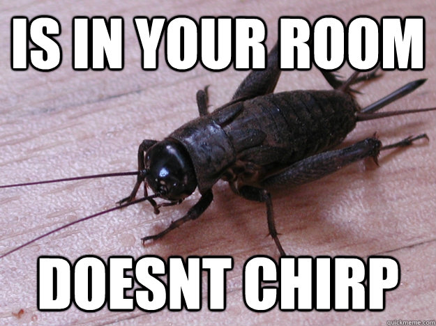 Makes a racket Pipes down for dialogue - Good Guy Cricket - quickmeme