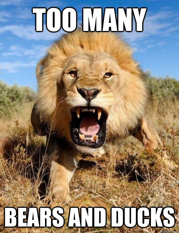 Too many Bears and ducks - Upset Lion - quickmeme