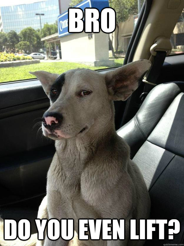 Bro Do you even lift? - Misc - quickmeme