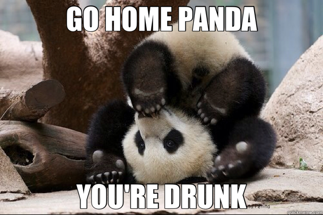 GO HOME PANDA YOU'RE DRUNK - Misc - quickmeme