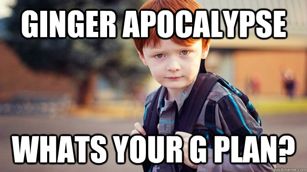 ginger apocalypse whats your g plan? - Intense Ginger Kid - quickmeme