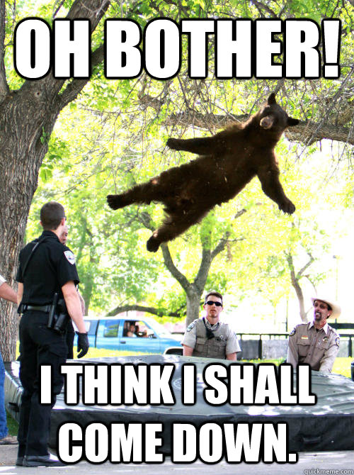OH bother! I think I shall come down. - Misc - quickmeme