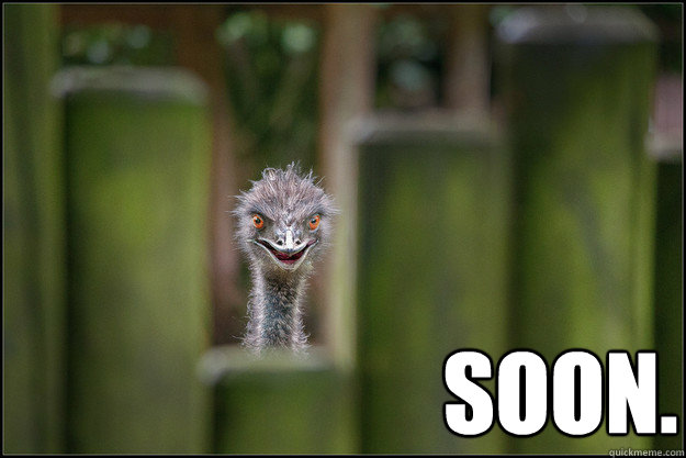 poon - Misc - quickmeme