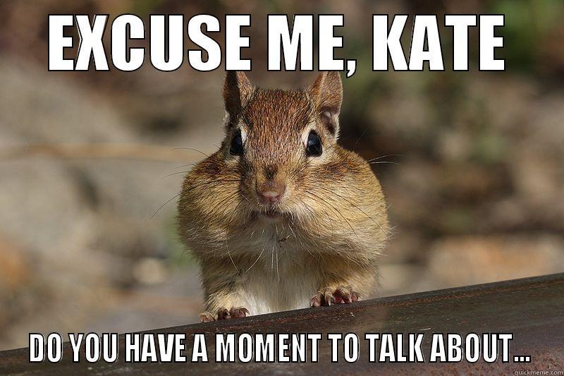 PARK TREE SQUIRREL - quickmeme