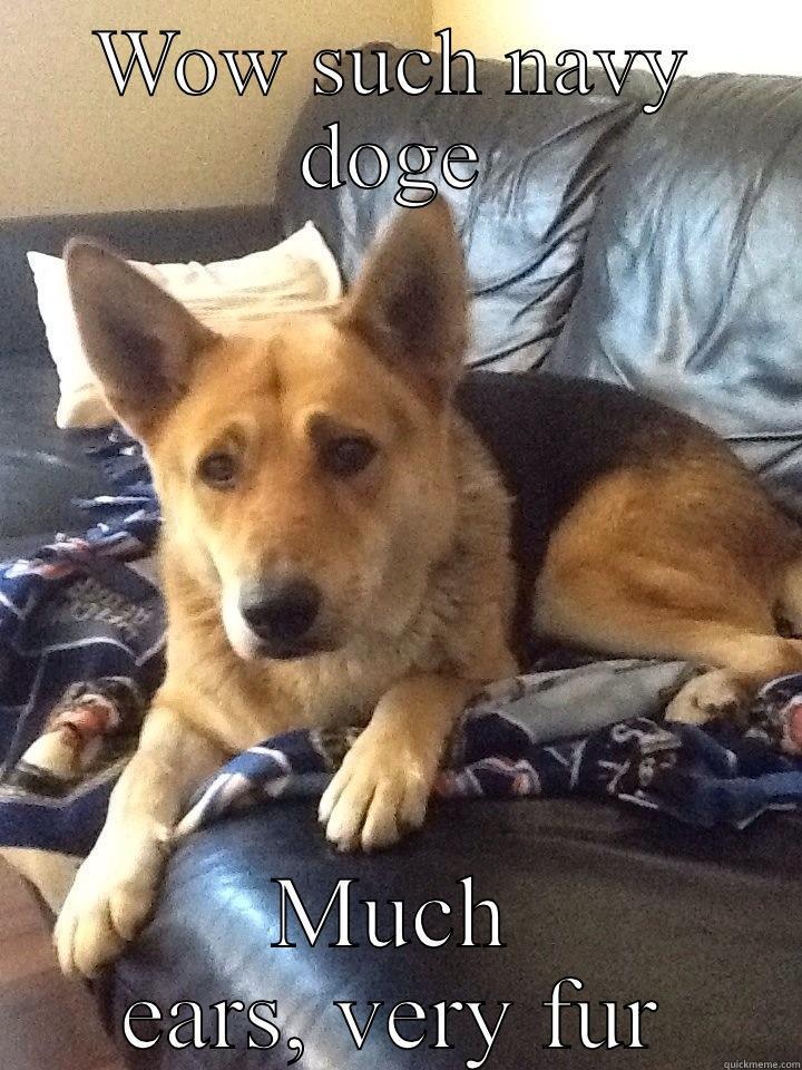 Justin's Doge - quickmeme