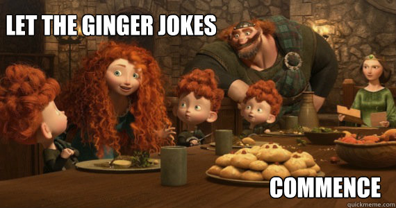 Let the Ginger jokes Commence - A burning topic this Summer - quickmeme