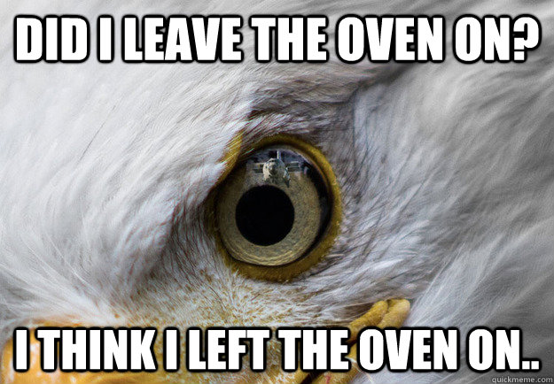 Did i leave the oven on? i think i left the oven on.. - Easily Distracted Bald Eagle - quickmeme