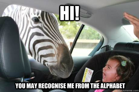 Zebra memes | quickmeme