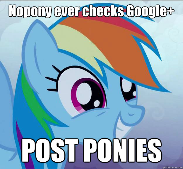 Nopony ever checks Google+ POST PONIES - Rainbow Dash DO WANT - quickmeme