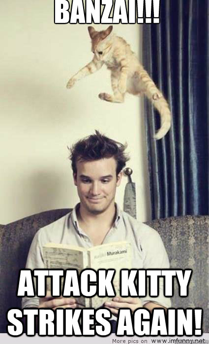 banzai!!! attack kitty strikes again! - attack kitty - quickmeme
