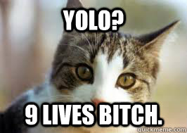 YOLO? 9 lives bitch. - YOLOL - quickmeme