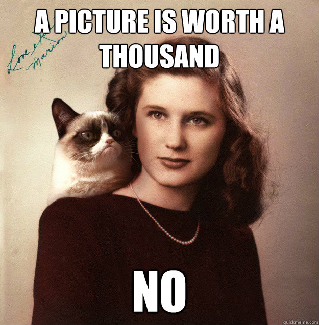 Grumpy Cat Portrait memes | quickmeme