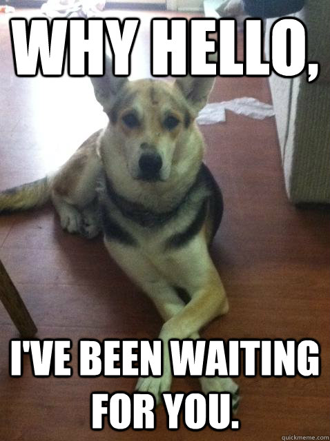 Why Hello, I've been waiting for you. - Misc - quickmeme