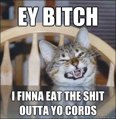 ey bitch i finna eat the shit outta yo cords - Misc - quickmeme