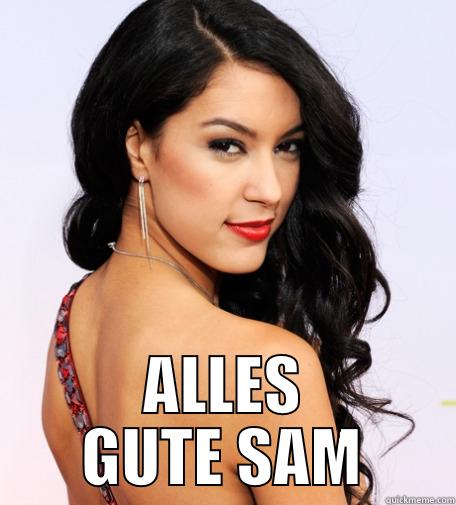 alles gute sam - quickmeme