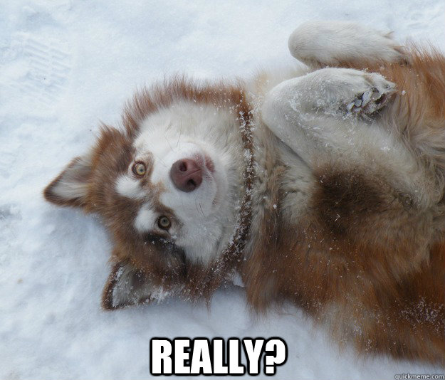 Really? - Misc - quickmeme